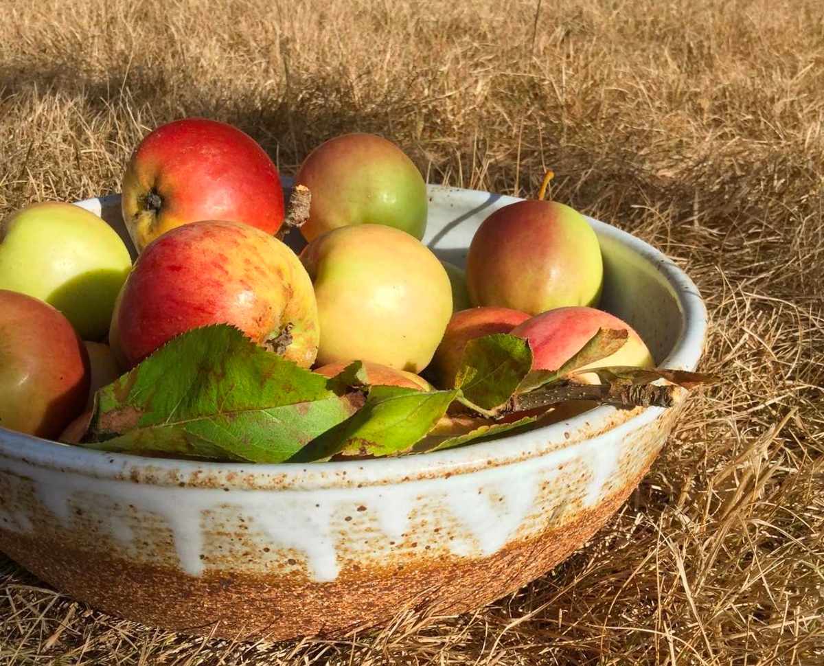 Celebrate Apple Season with These Fresh Picks from Sonoma Stores ...